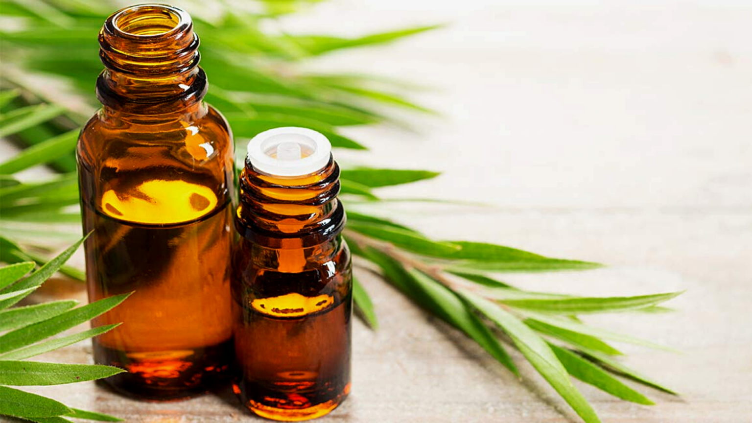 Benefits of tea tree oil on face: Everything to know about it